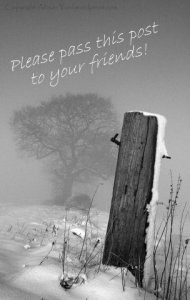 Creating Cameo Layouts (Iain Rice / Wild Swan Books) | Albion Yard